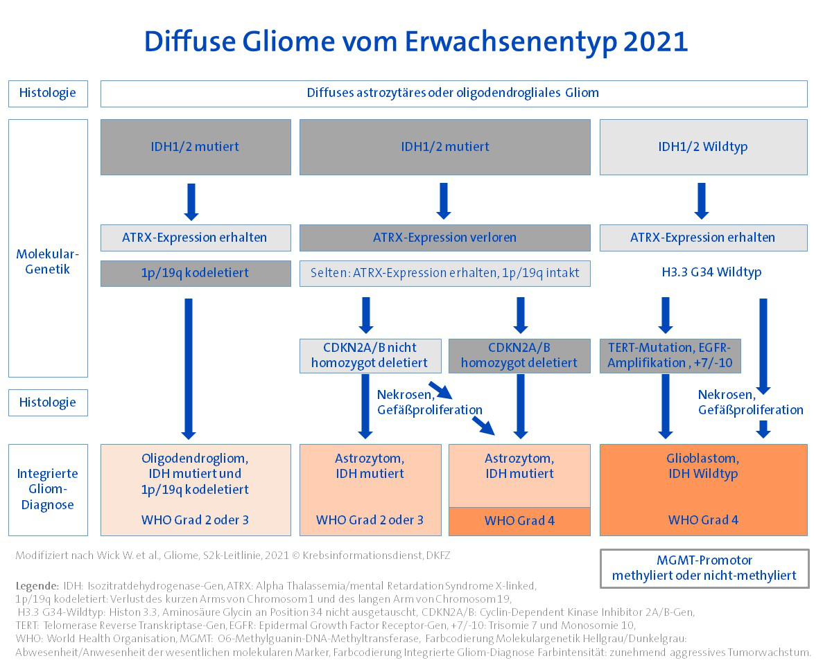 Gliome: Neues aus der Diagnostik | DKFZ - Krebsinformationsdienst